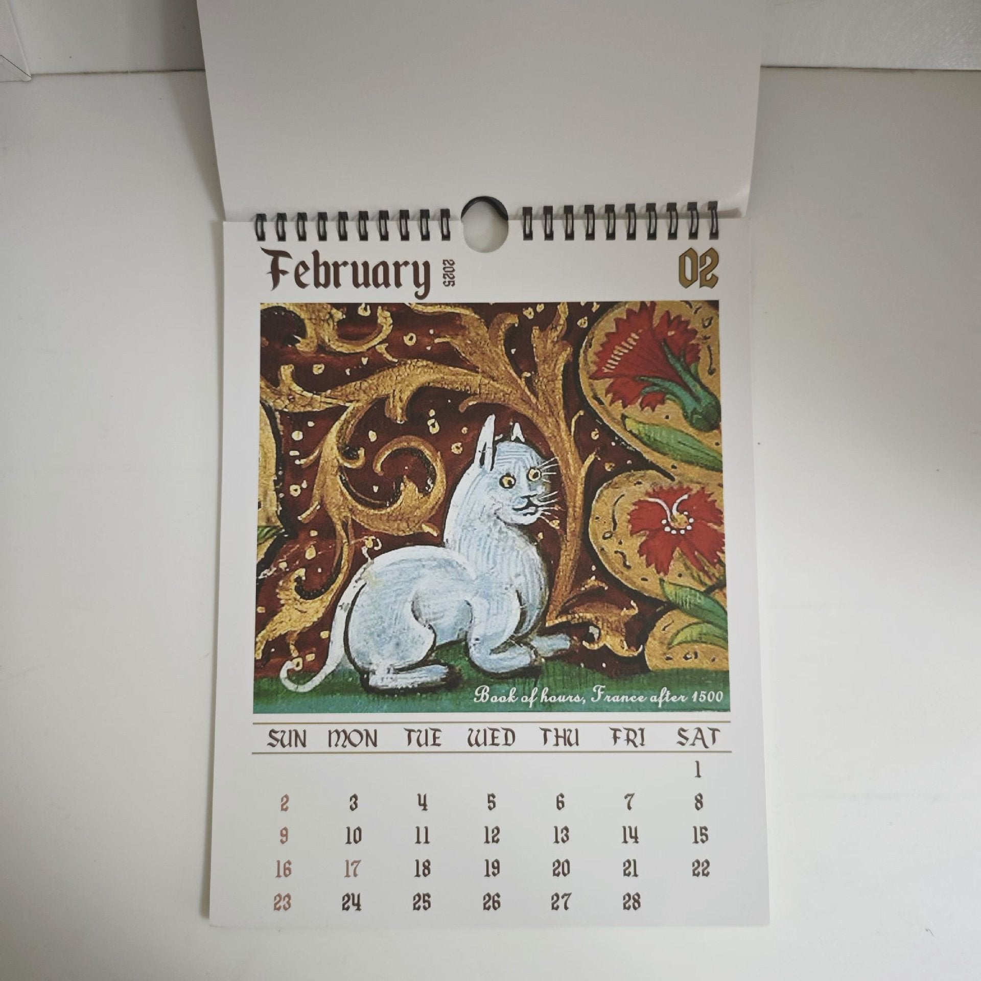 Ugly Medieval Cats Calendar 2025 – Rrsstore