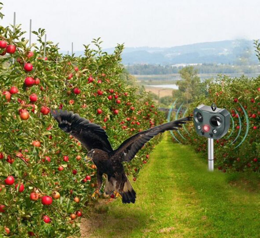 Ultrasonic Bird + Pest Repeller Solar Powered - Long Range – Rrsstore
