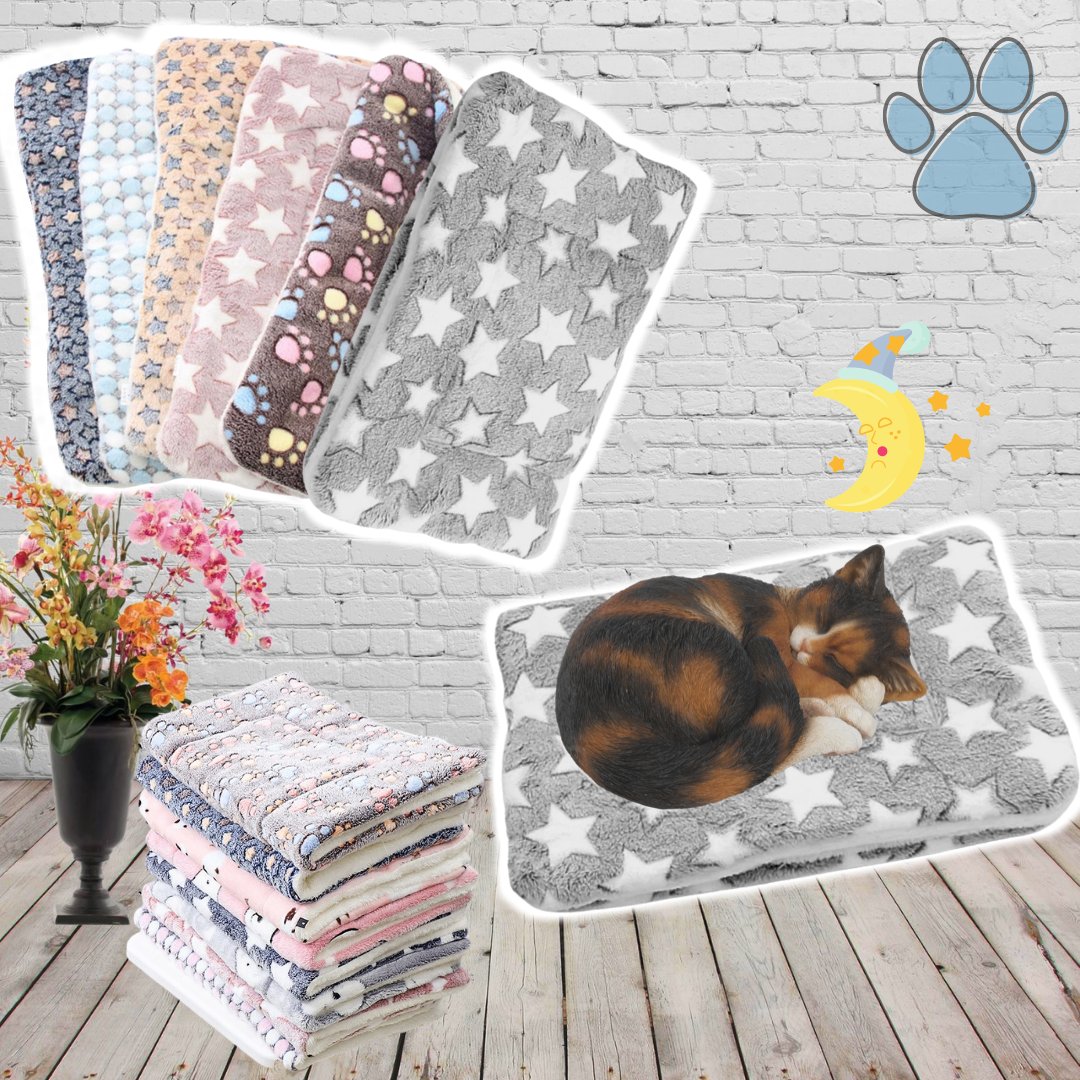 Calming Cat Blanket – Rrsstore