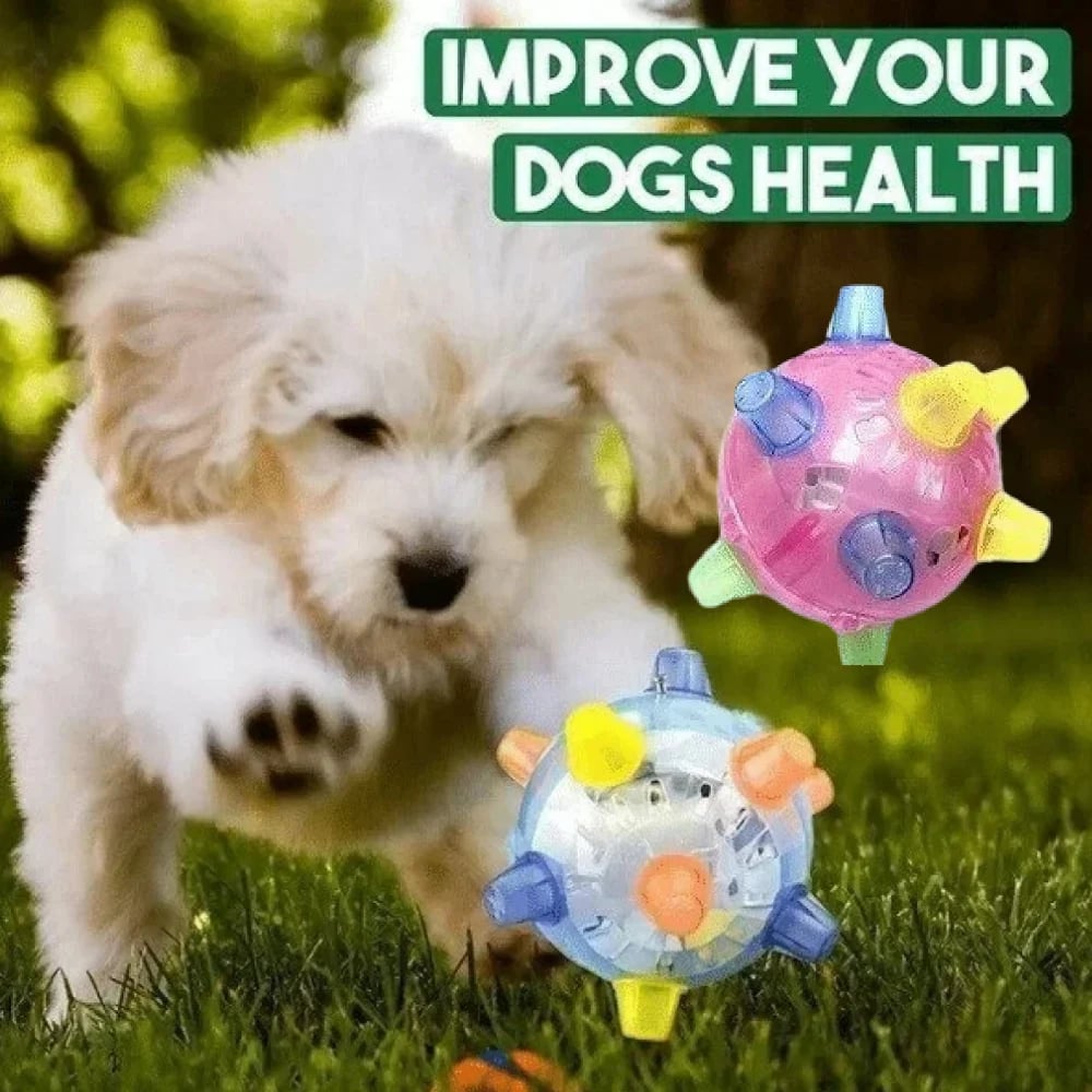 Jumping activation ball for dogs and cats – Rrsstore