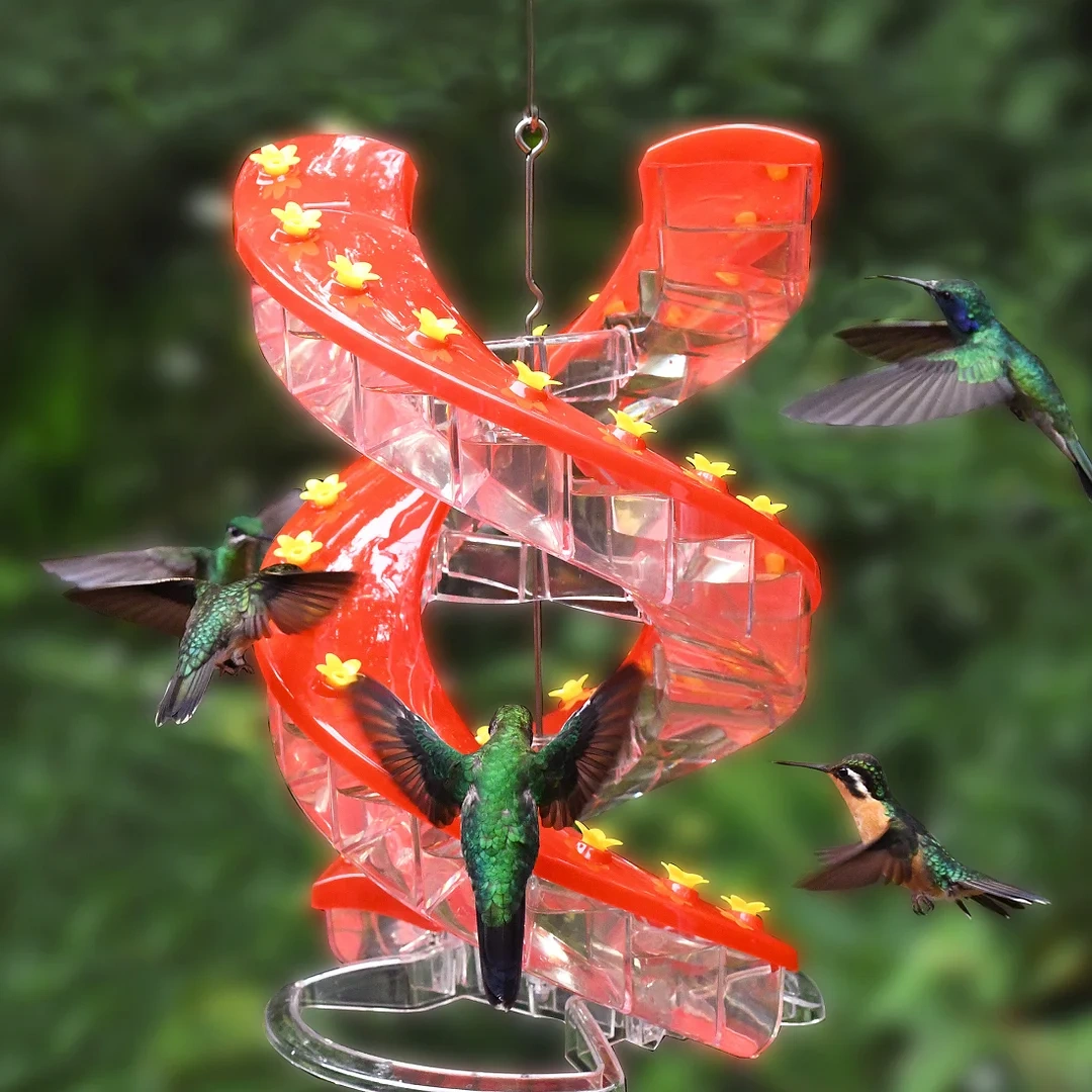 Sherem DNA Helix Hummingbird Feeder – Rrsstore