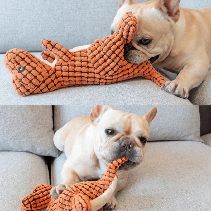 Indestructible Robust Dino - Dog Toy 2.0 Upgrade Version – Rrsstore